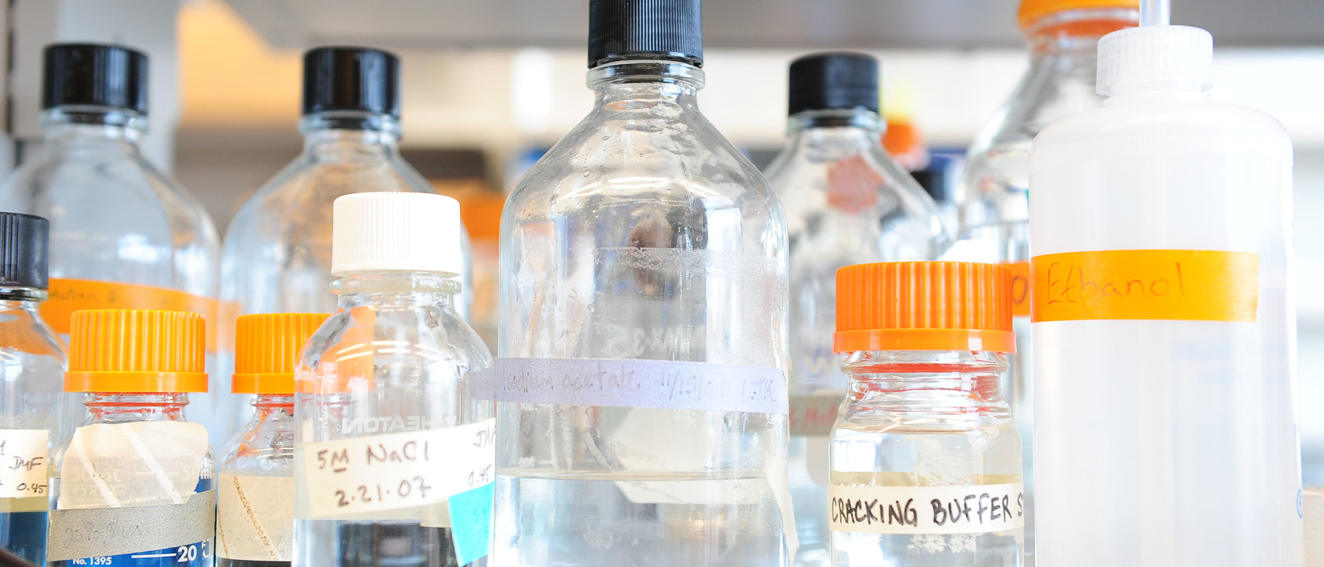 London Lab | The University of Iowa